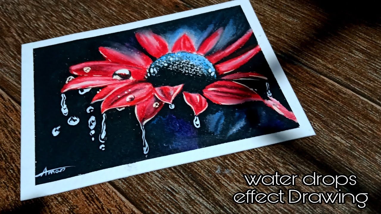 Water Drop On Flower Drawing