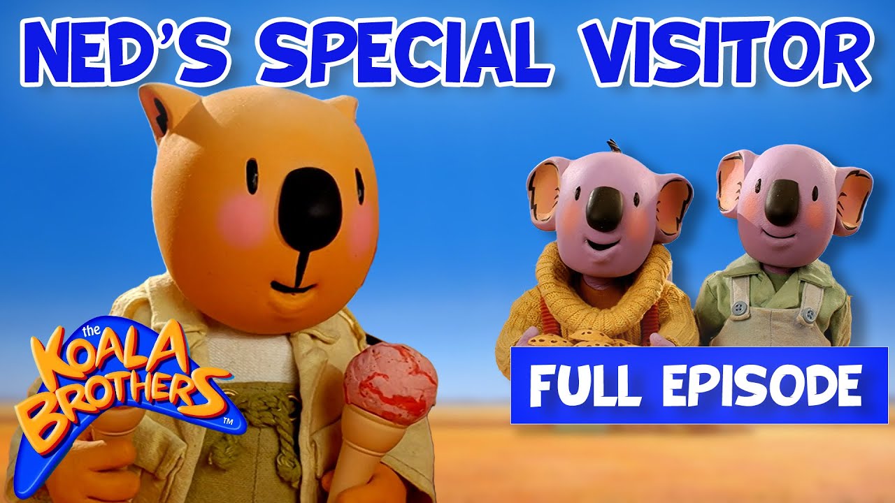 Ned's Special Visitor 👀 | @KoalaBrothersTV | Animation for Kids - YouTube