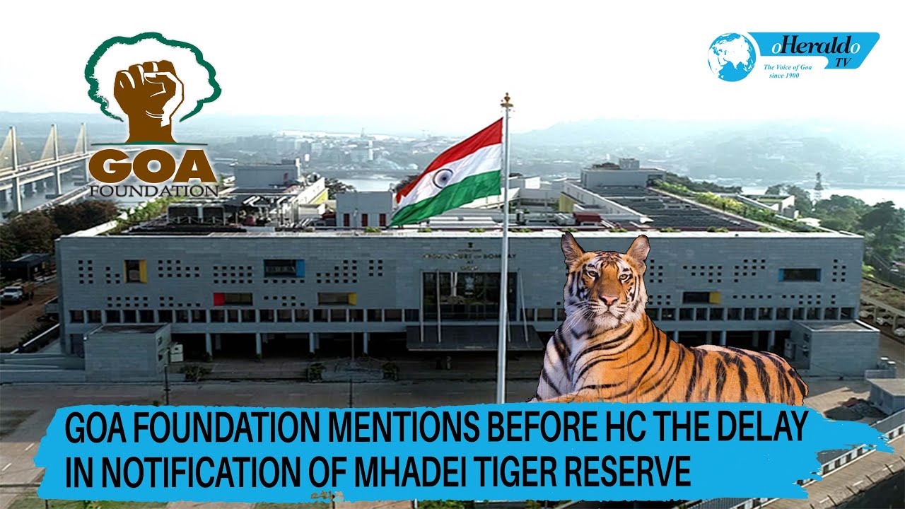 Goa Foundation mentions before HC the delay in notification of Mhadei ...