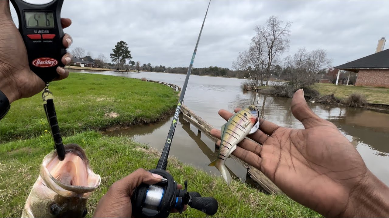 Fishing a loaded HOA pond for giant spawning bass with 6th sense ...