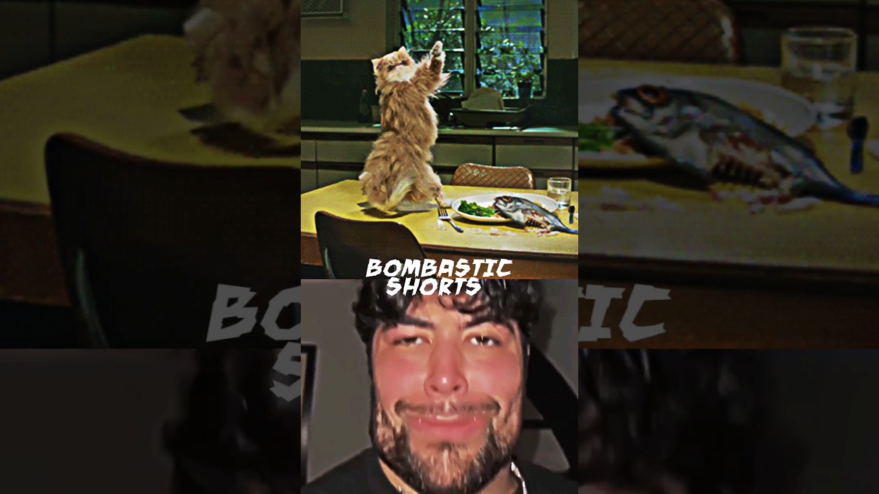 Bombastic Cat 😺 Dance 😂 - YouTube