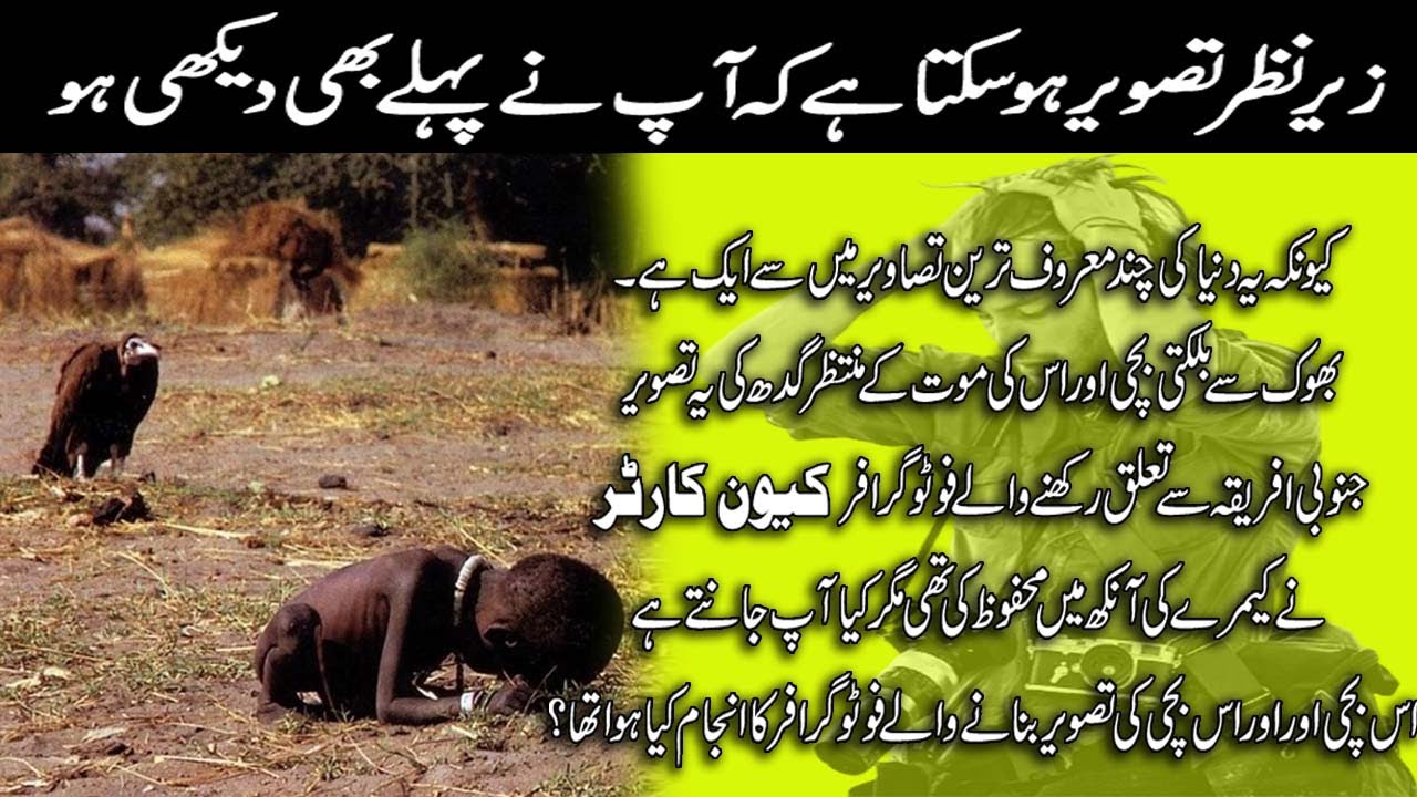 Heartouching Story Behind Famous Picture || The Vulture And The Little ...