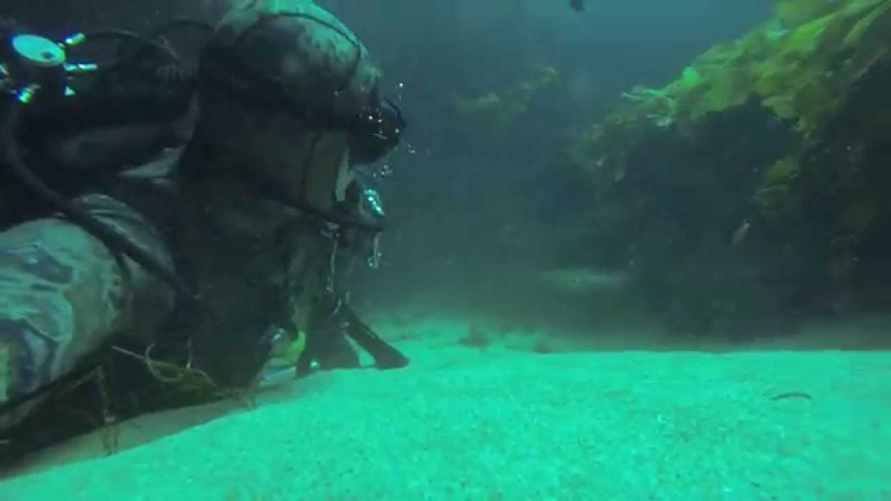 Cray Diving Cape Jaffa - YouTube