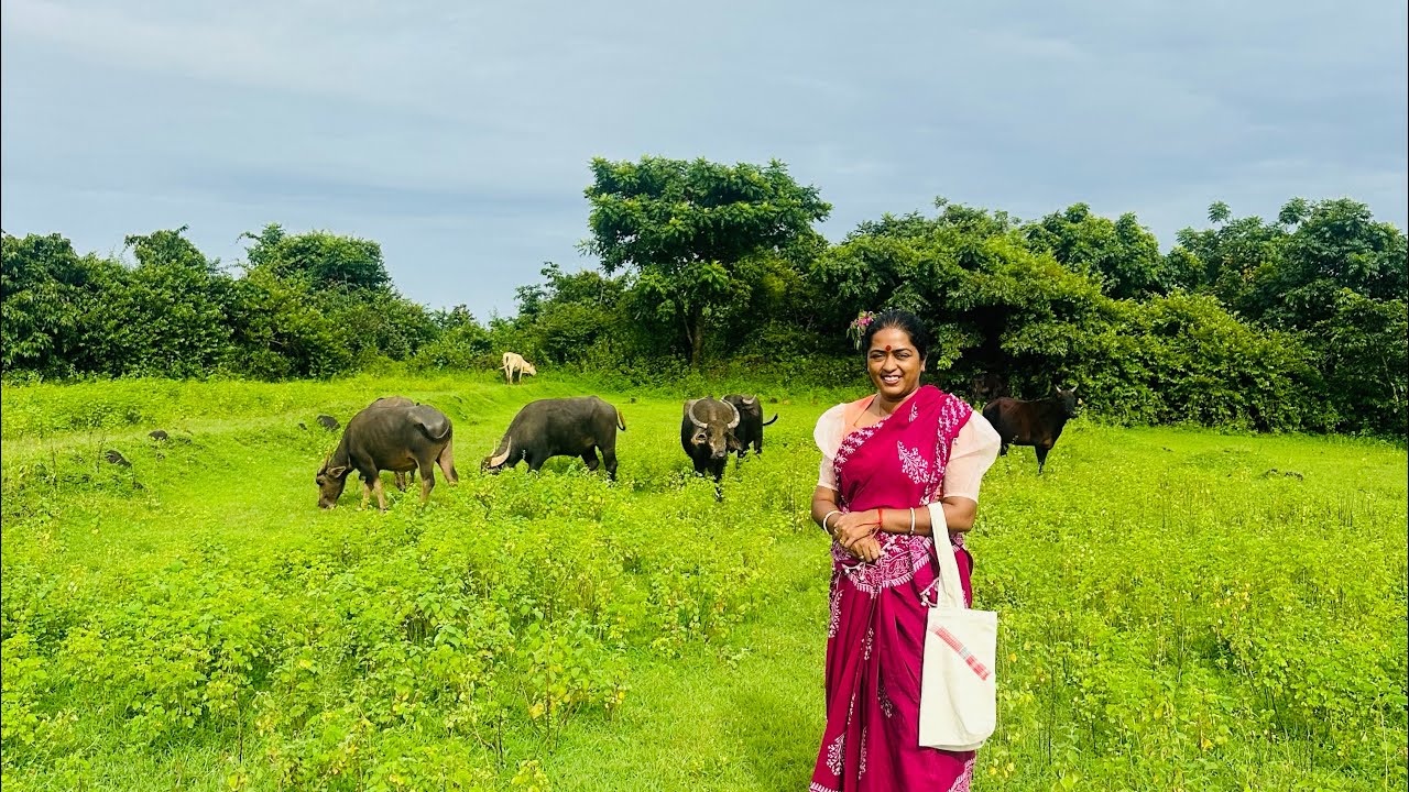 Save 🐮 |GOAN VHANI|SAVE ANIMALS - YouTube