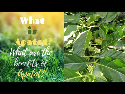 WHAT IS APATOT? WHAT ARE THE BENEFITS OF APATOT? #simplicityvlog #reliefdisease