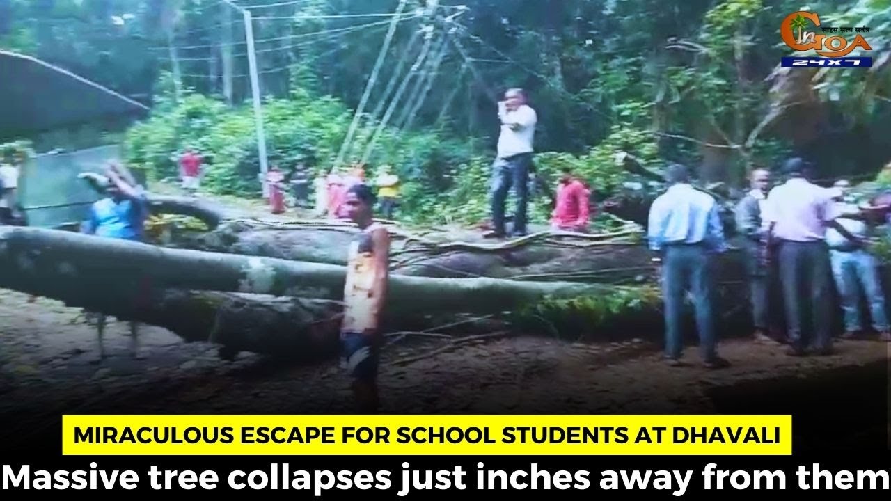 #Miraculous escape for school students at Dhavali. Massive tree ...
