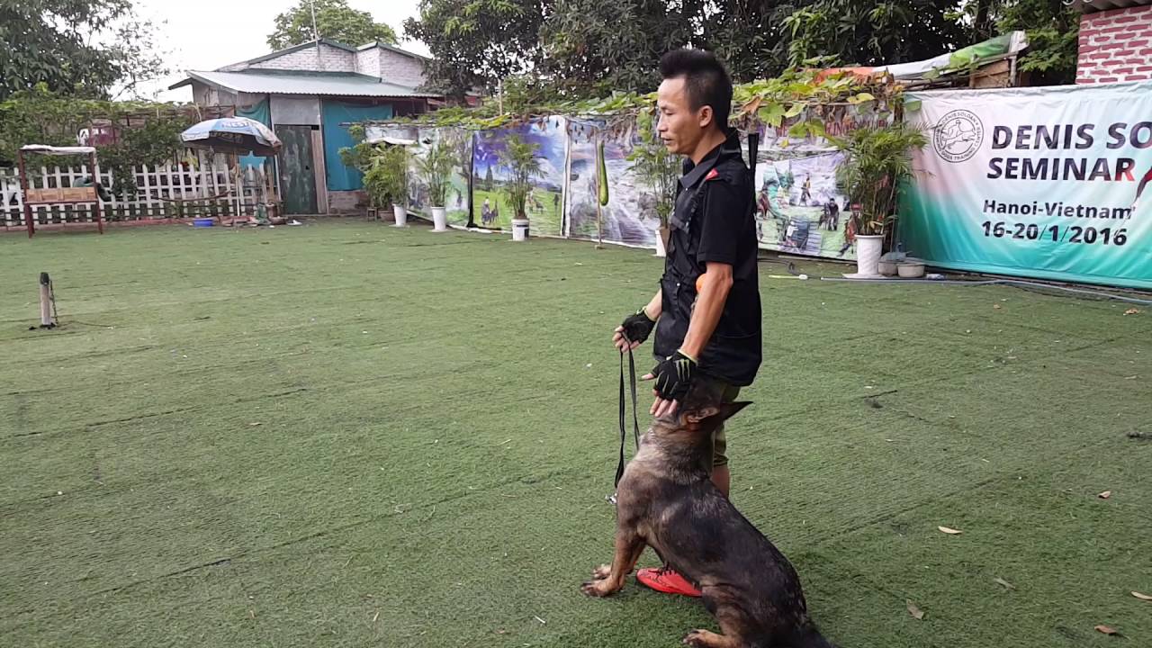 Training Part1 Youtube 1432