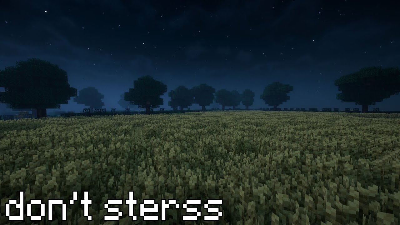 the night is gentle here... (minecraft music, forest & field ambience ...