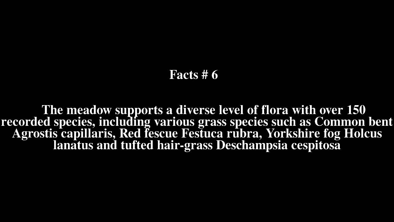 Monkspath Meadow Top # 9 Facts - YouTube