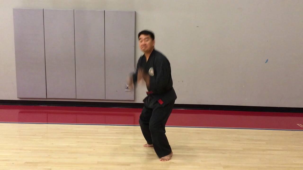 Master Han: Advanced Punching Techniques - YouTube