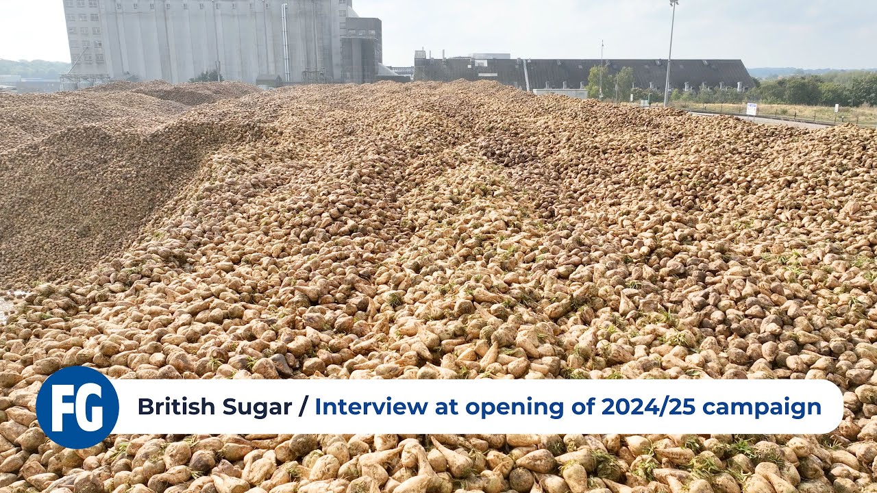 Sugar Beet - Conditions and disease pressures at British Sugar, Bury St ...