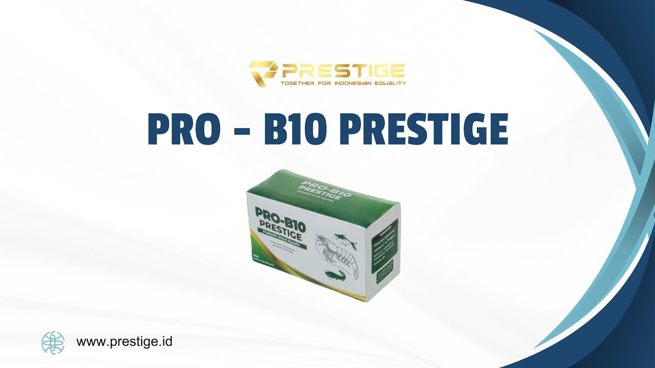 Penggunaan Probiotik & Mineral! pada budidaya udang vannamei - YouTube