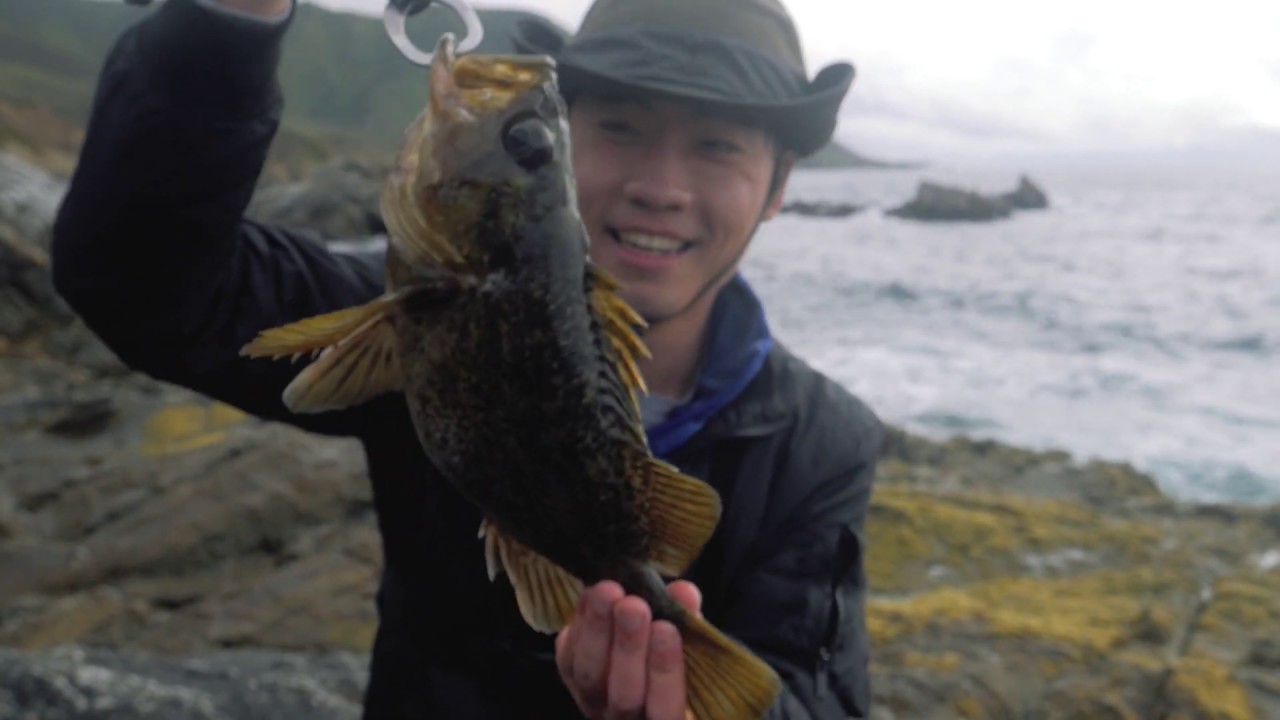 【Fishing Chef】 Catch and Cook Cabezon and Grass Rock Fish, Rock Fish ...