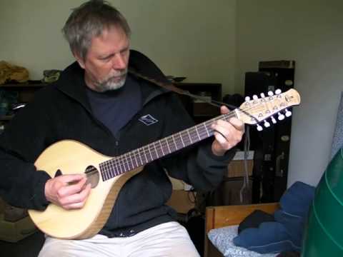 Brauchli 10 string cittern - YouTube