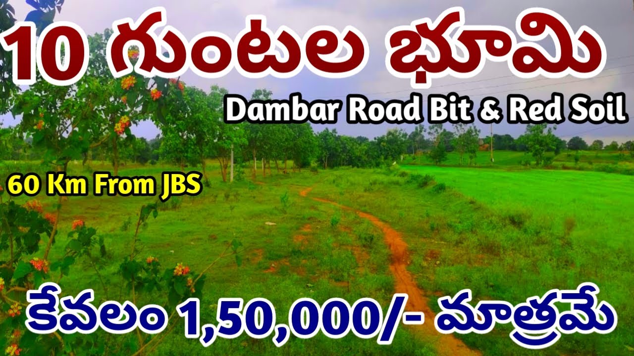 Agriculture Land For Sale |Dambar Road BIT |#agriculture #farmlands # ...