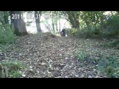 semley jumps