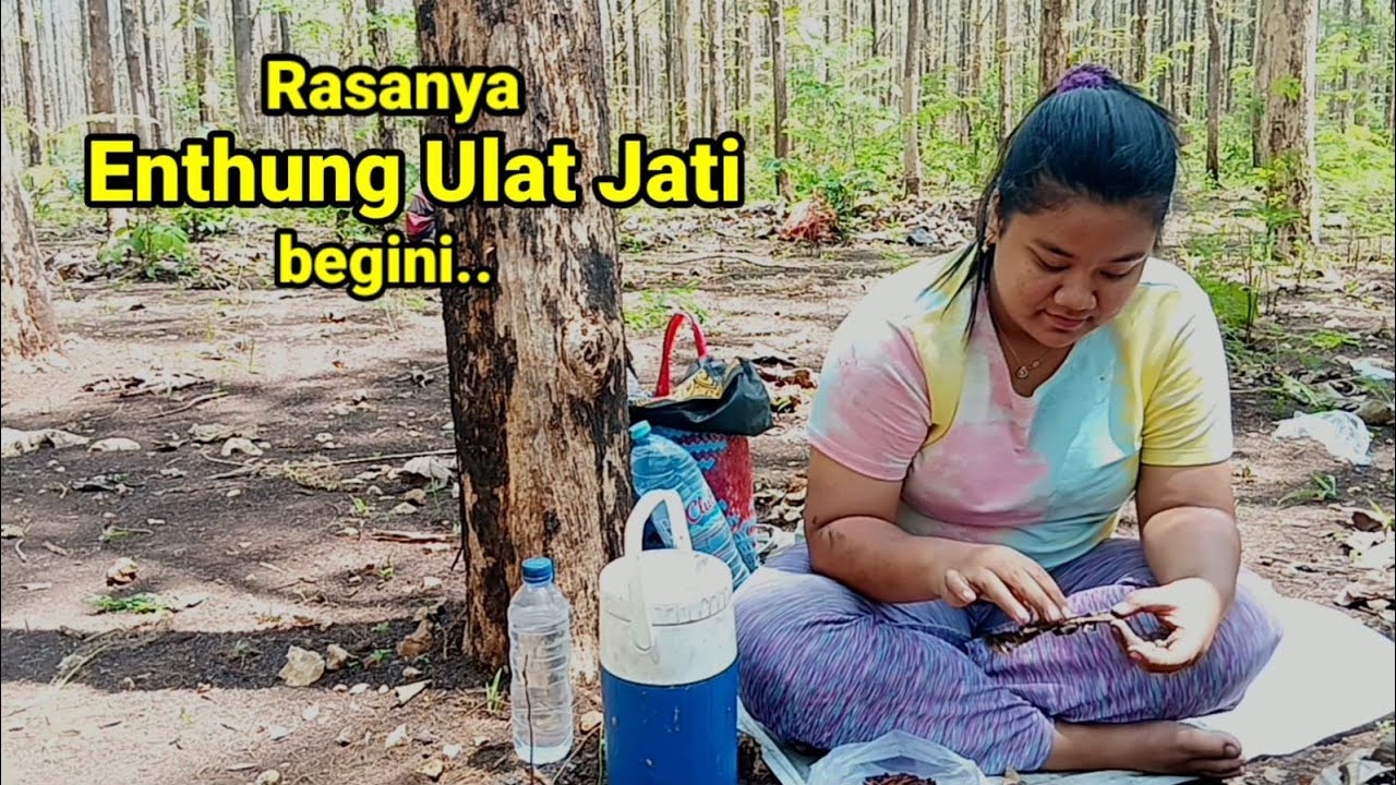 Enthung Mania!! Beginilah Rasa makanan Enthung ulat dan efek samping ...