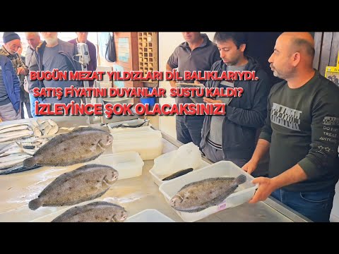 MORDOĞAN BALIK MEZATI 16.10.2025 YATAY ÇEKİM