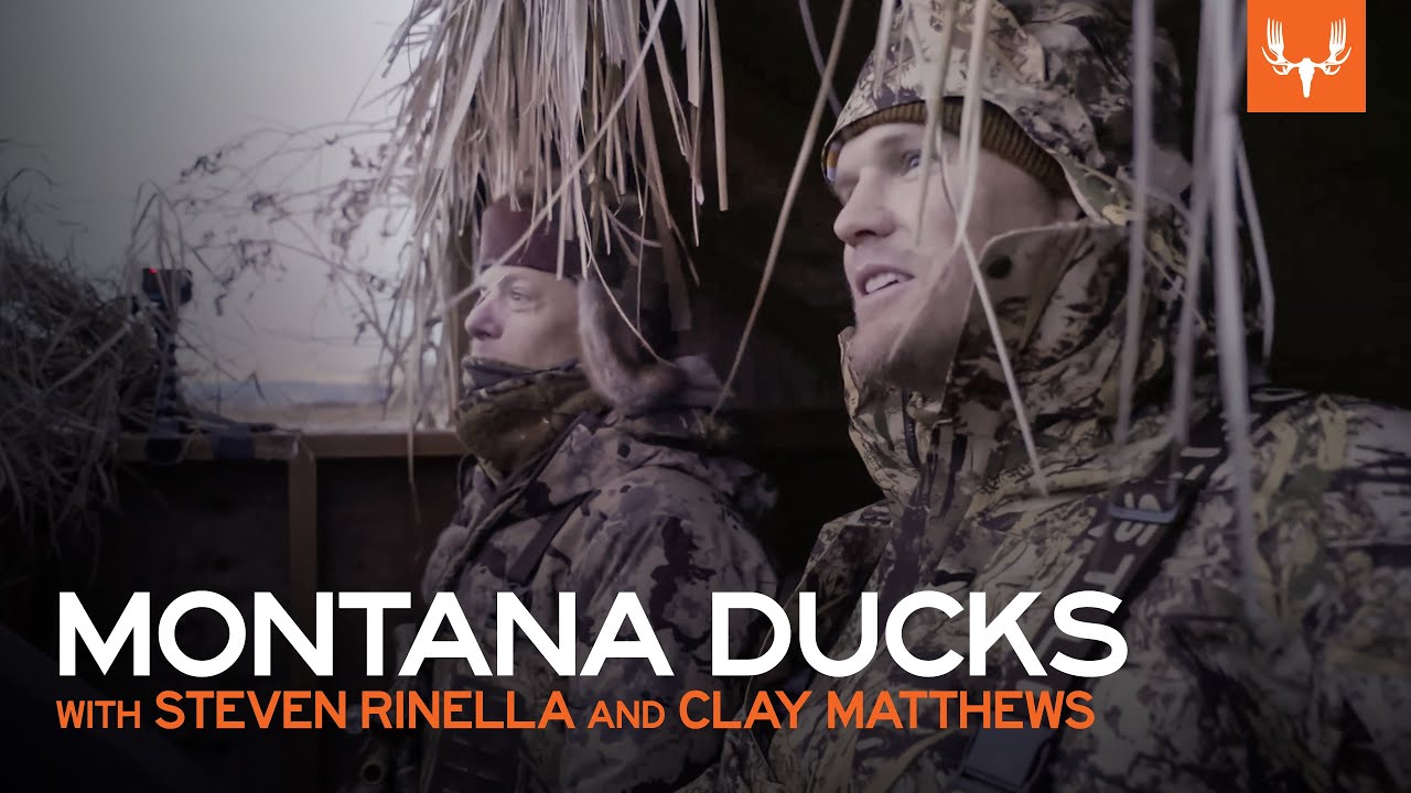 Steve and Clay Matthews go Duck Hunting - YouTube