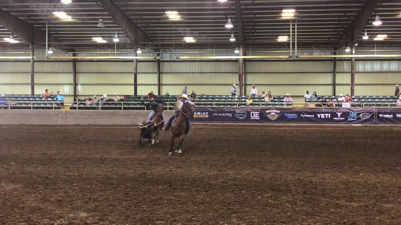 Globe Clyde & Carson #9 3rd steer - YouTube