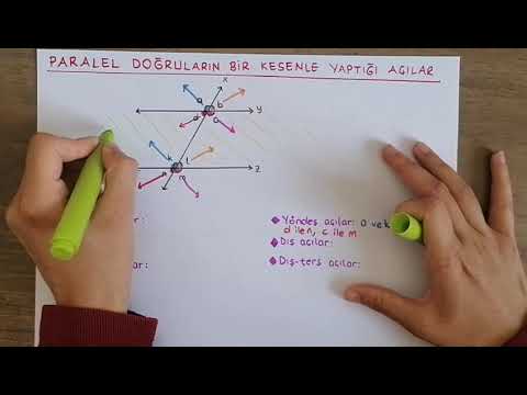 7. Sınıf Matematik | Doğrular ve Açılar Konu Anlatımı | Üç Doğrunun Birbirine Göre Durumları