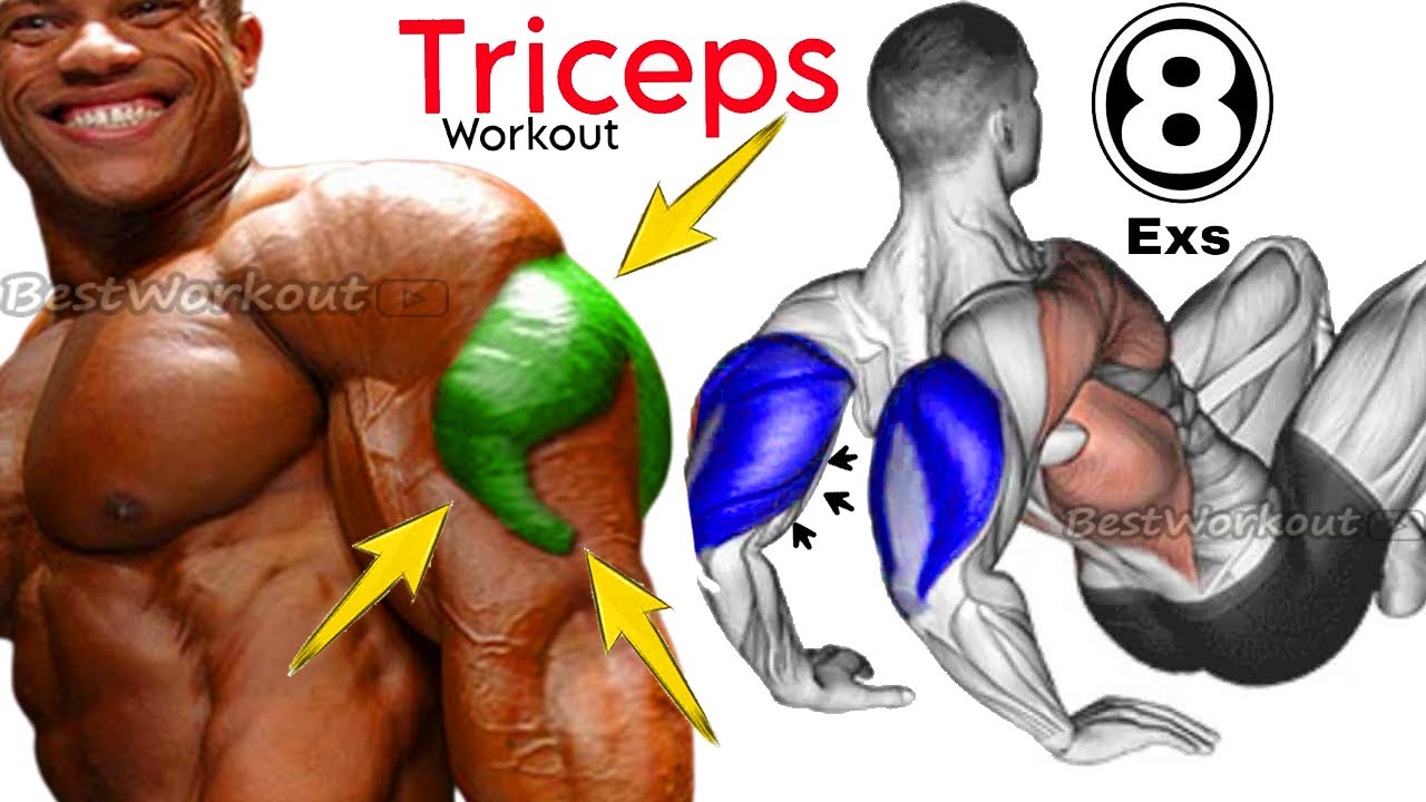 "Triple the Size of Your Arms: The Ultimate Triceps Workout and ...