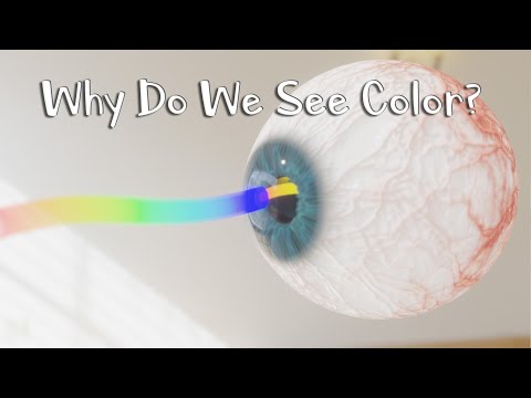 Why Do We See Colors? | Safe Videos for Kids