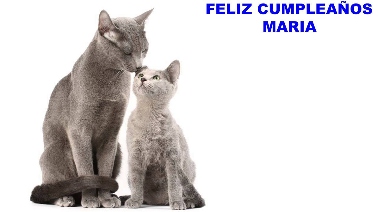 Maria - cats - Happy Birthday - YouTube