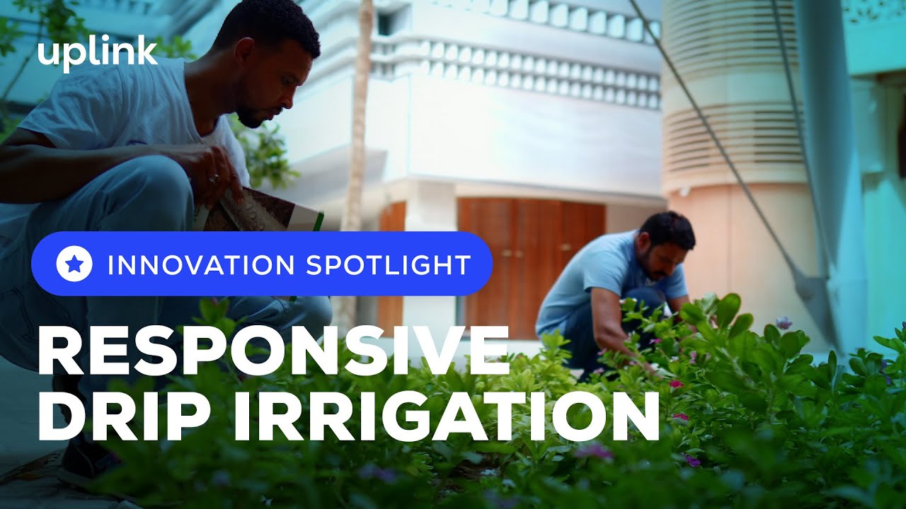 This invention enables plants to water themselves - YouTube