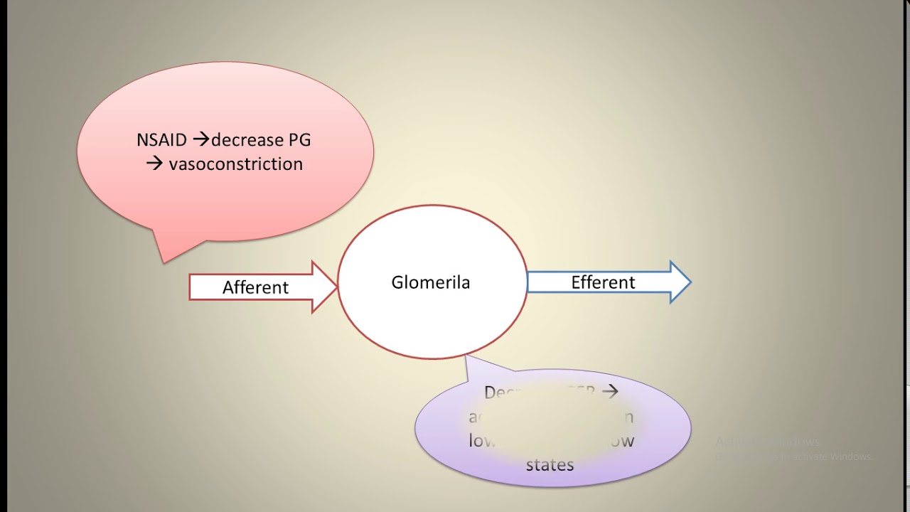 NSAID mechanism in renal failure - YouTube