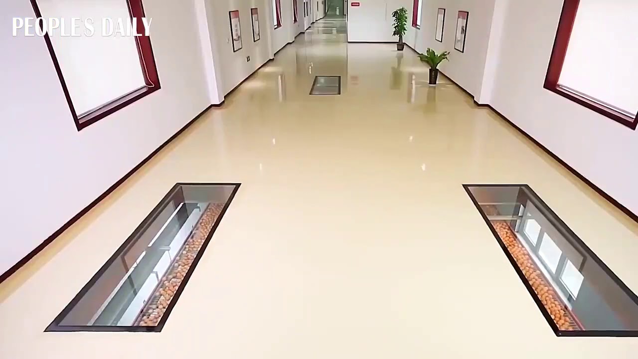 The unmanned chicken farm monitors chickens with robots and ...