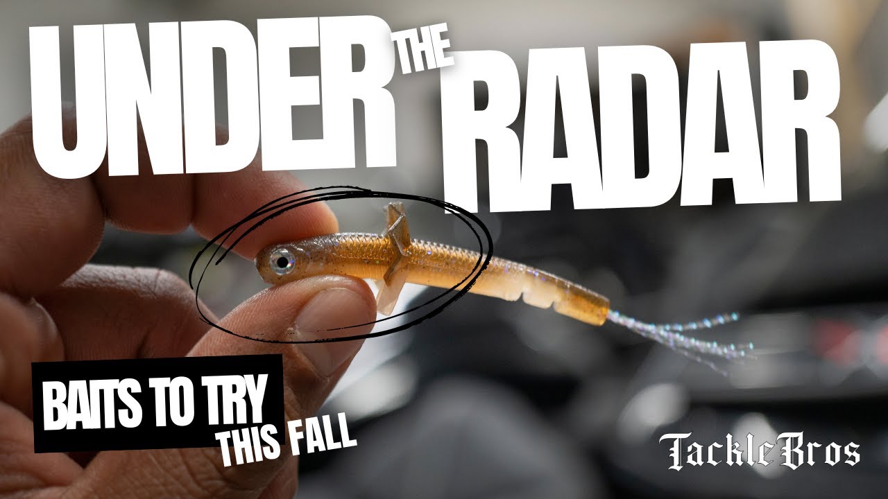 Sneaky FALL Fishing Baits You NEED to Try - YouTube