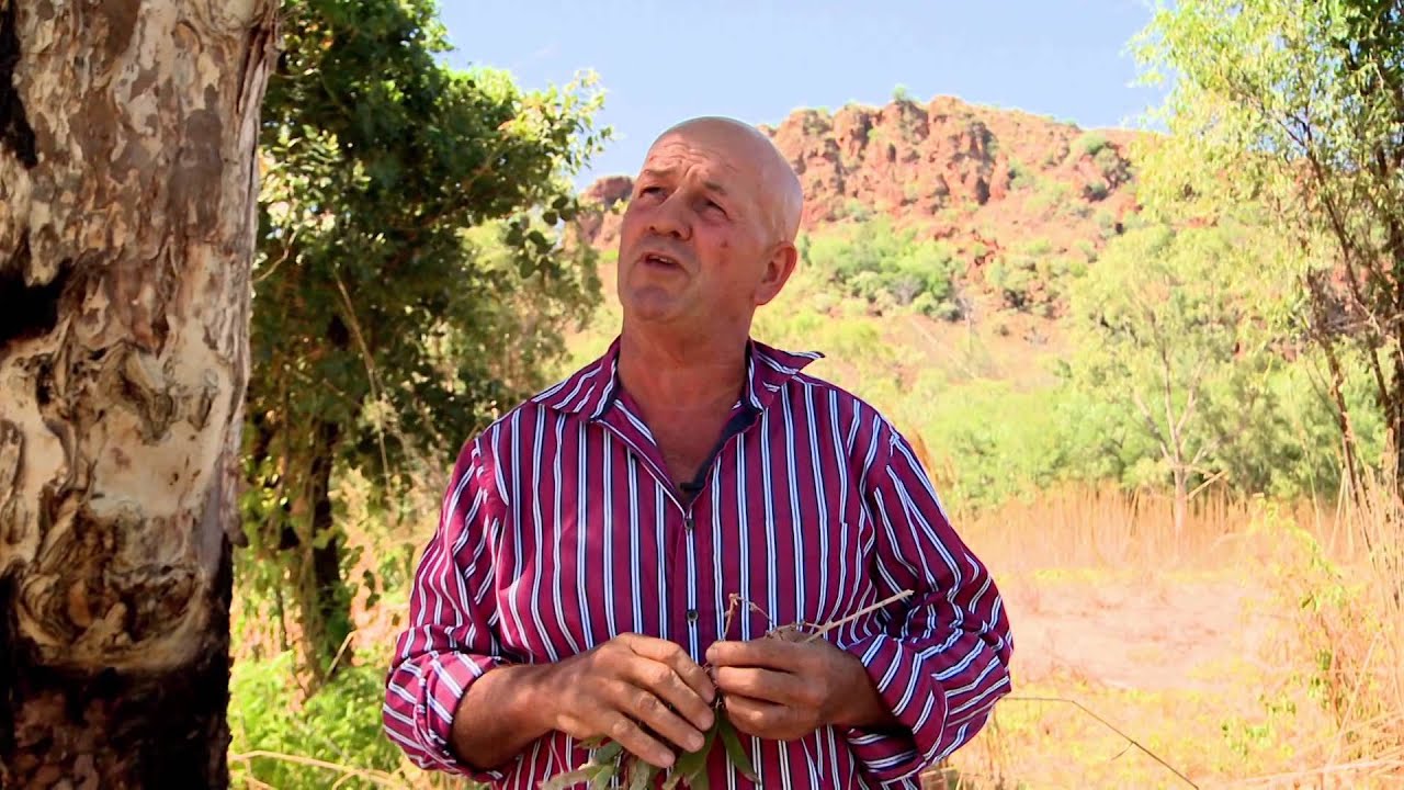 REMOTE INDIGENOUS COMMUNITY UPDATE - YouTube