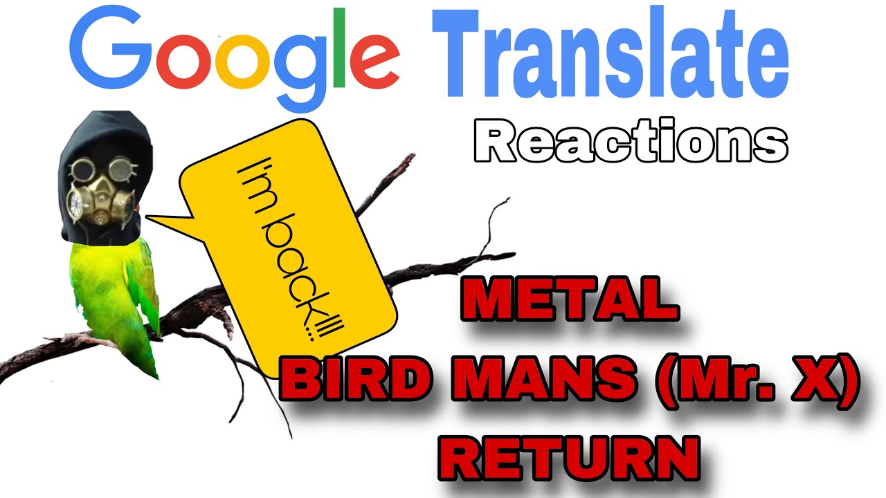 Google Translate Reactions| Metal Bird Man’s (Mr. X) Return - YouTube