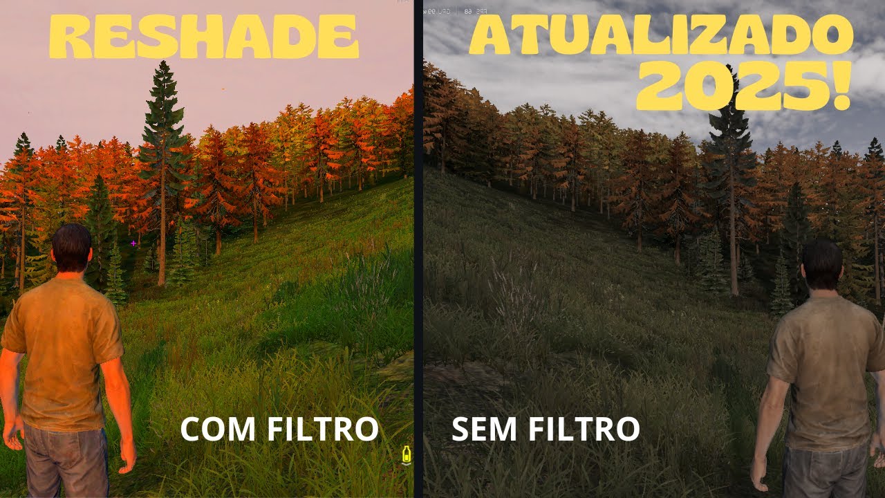 Mira Externa + Reshade, Configurações de filtros DAYZ 2025!!! - YouTube