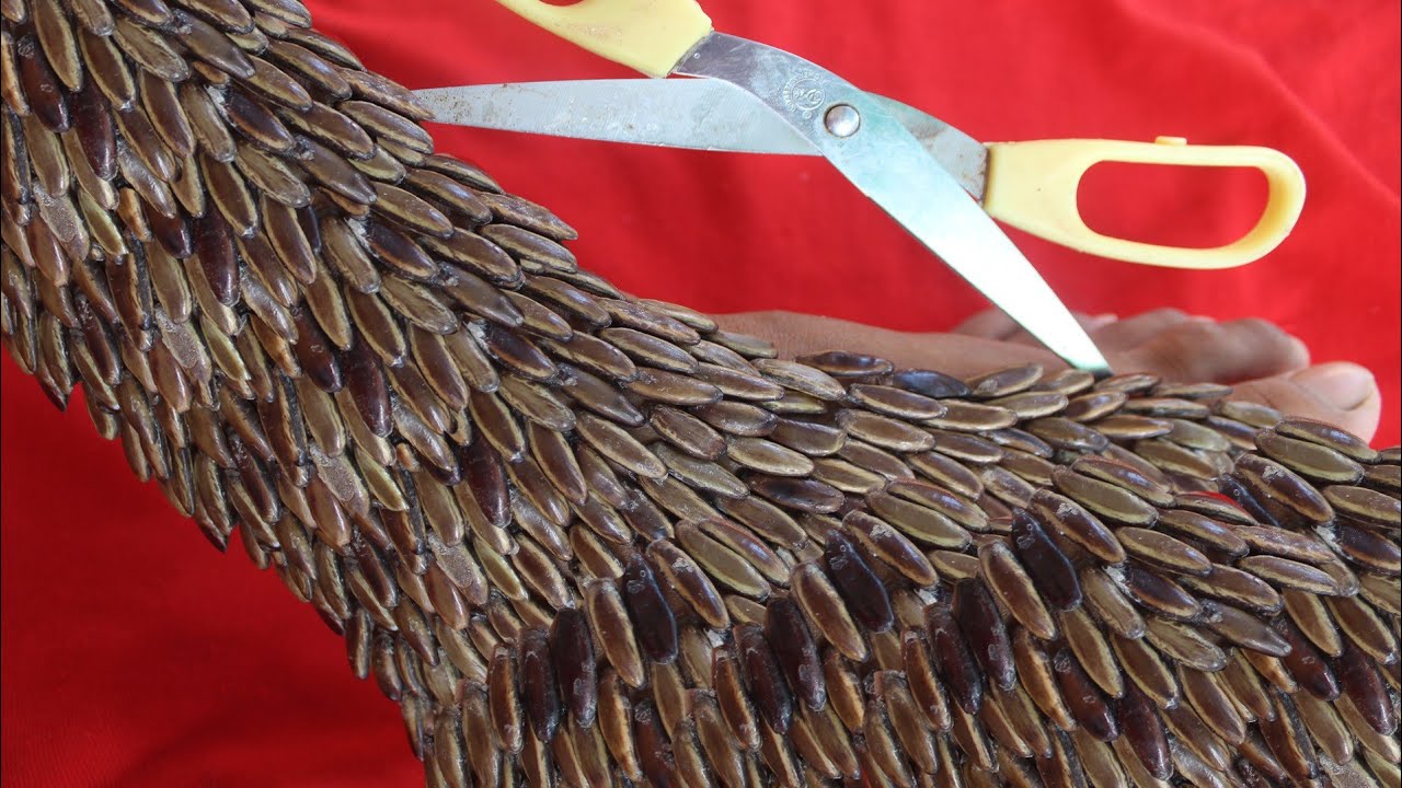 We Help Remove Million Small Leech on Leg Man With Scissors That Worked ...