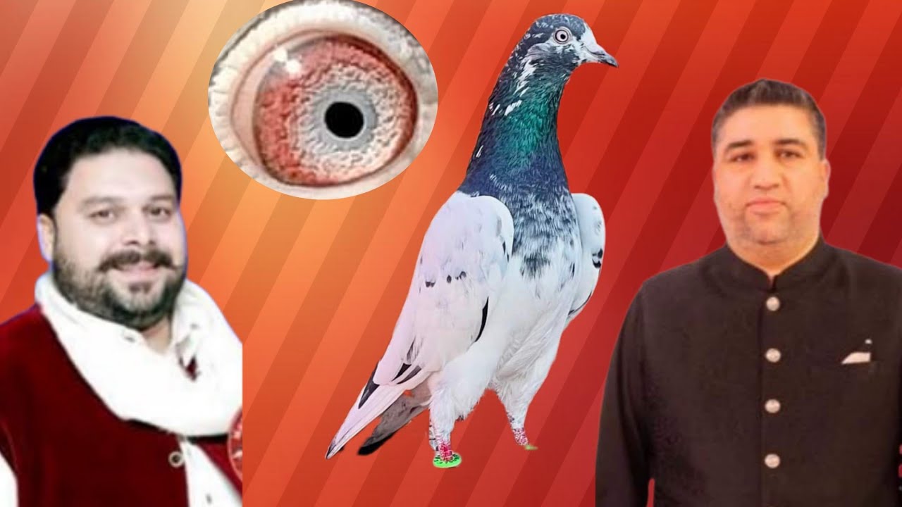 Ustad Mian Ahsan Rasheed Puri of Faisalabad ki chat se shoq - YouTube