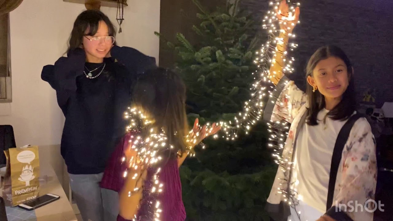 Mini Lisa รีวิวไฟประดับ ไฟกระพริบ - YouTube