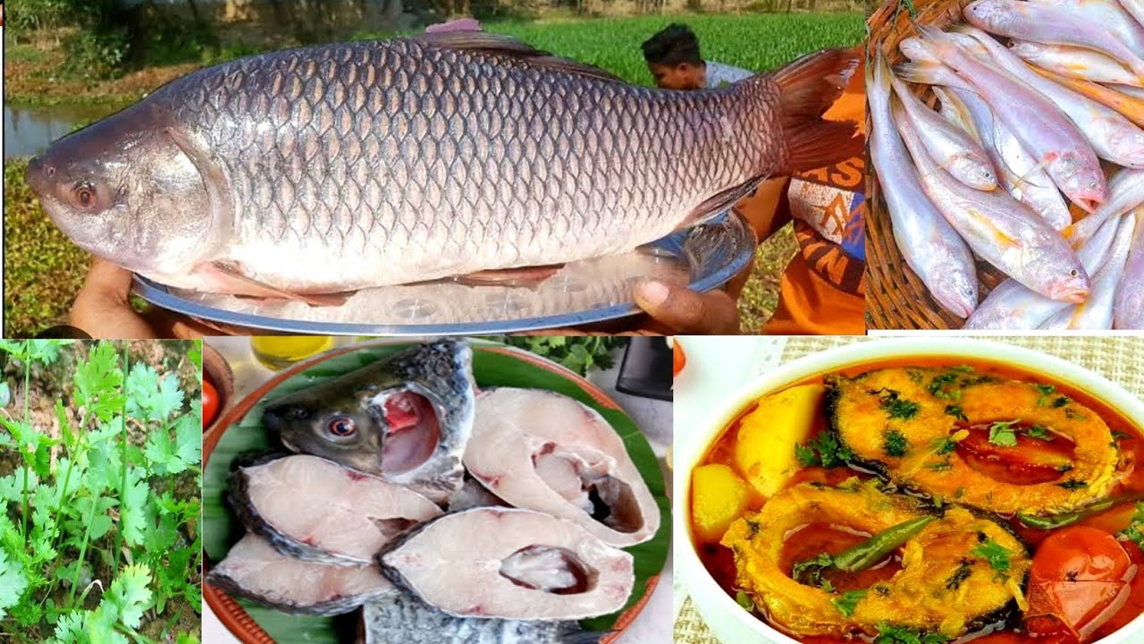 How To Cook Fish Curry|Amazing fish Recipe|Amazing Fish Cutting Skill ...