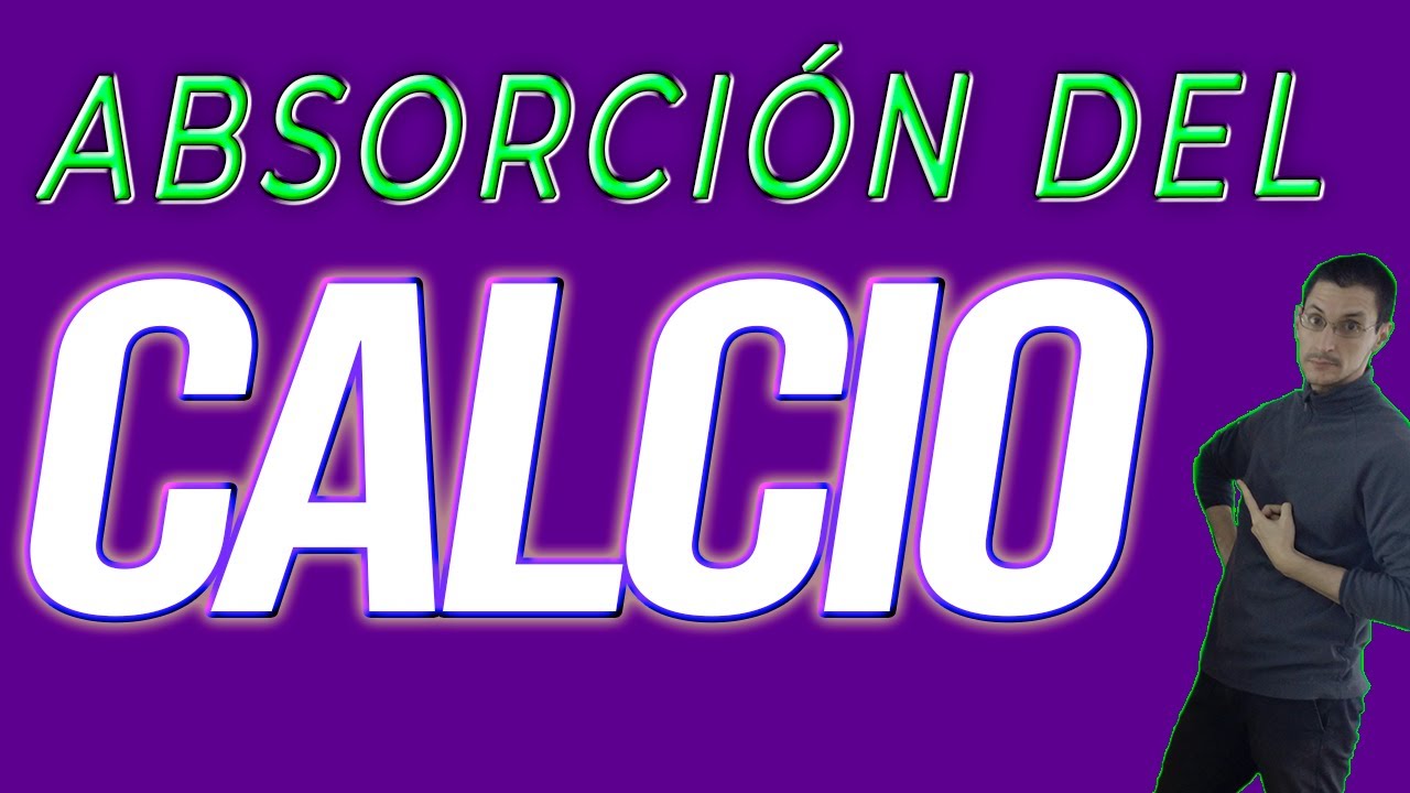 Cómo se ABSORBE el CALCIO en el cuerpo. Sistemas de absorción del ...