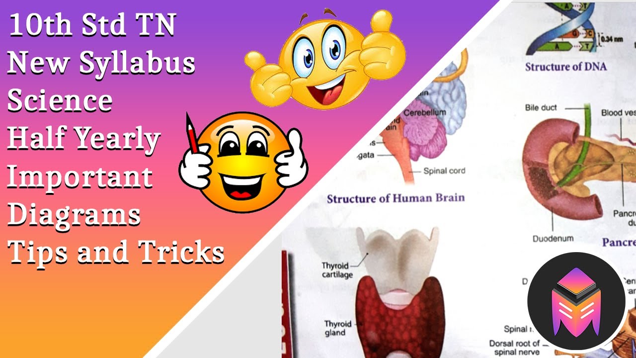 10th Std New Syllabus Science Important Diagrams/ Tips and Tricks - YouTube