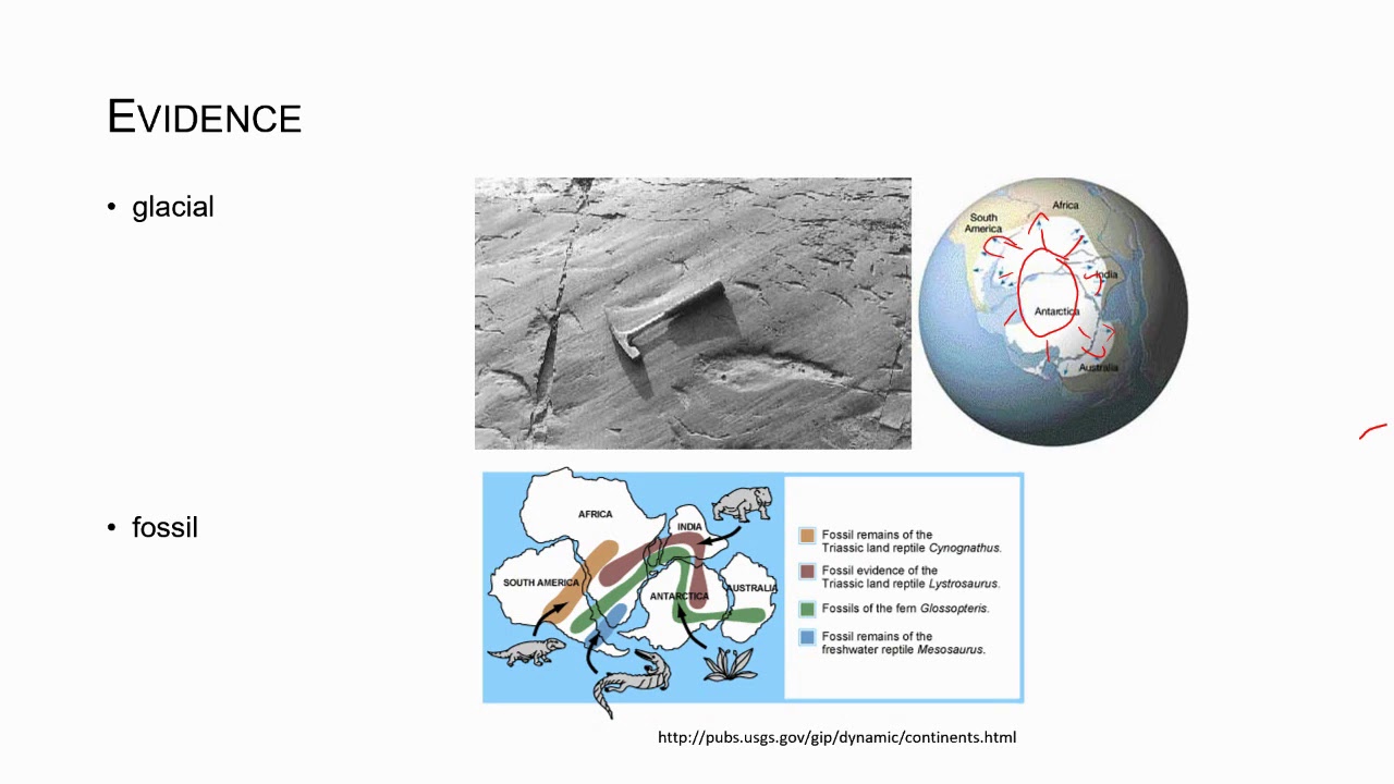 Biogeography Wallace and Wegner Part 3 - YouTube