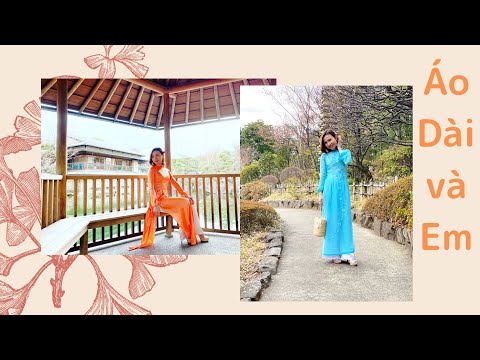 Vietnamese Ao Dai