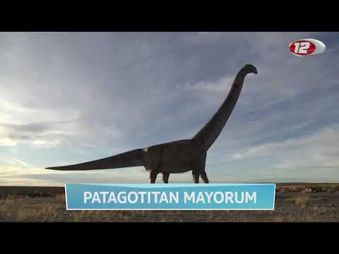 Patagotitan Mayorum