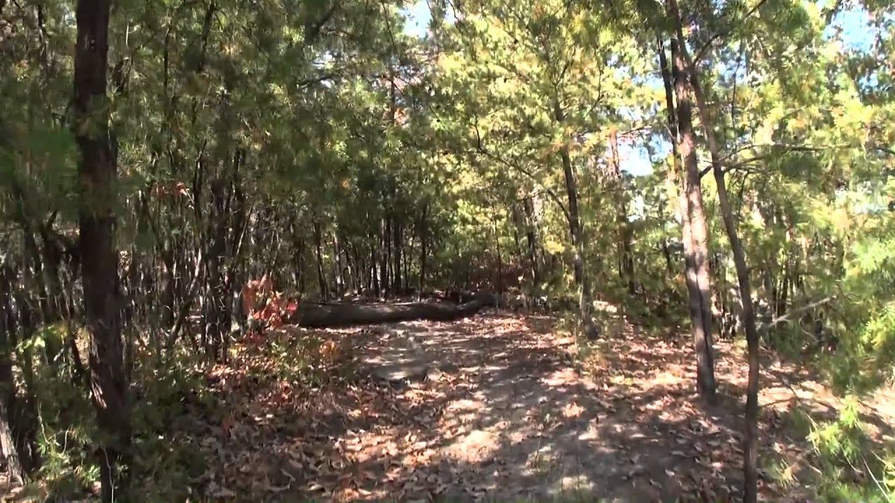Berea Forest Pinnacle Hike with Forrest - YouTube