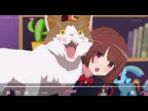 Cap Gato se vuelve loco en Stream l Capitan Gato Twitch - YouTube