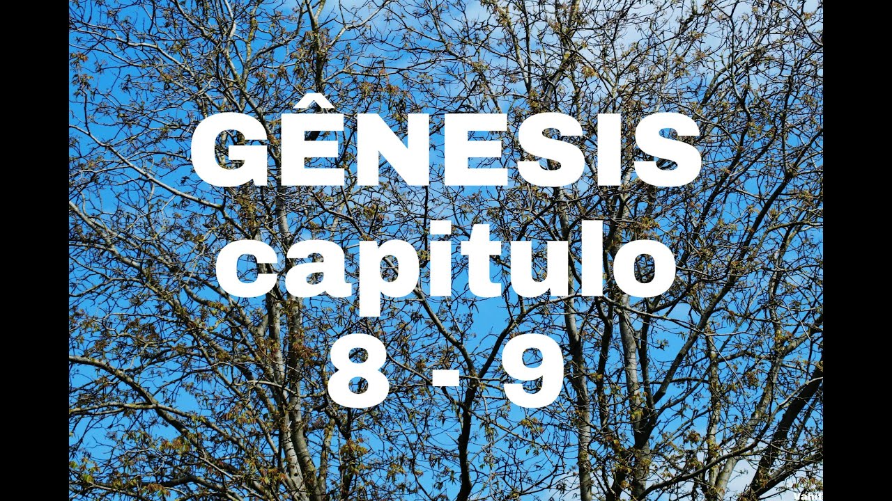 GÊNESIS capitulos 8 e 9 - YouTube