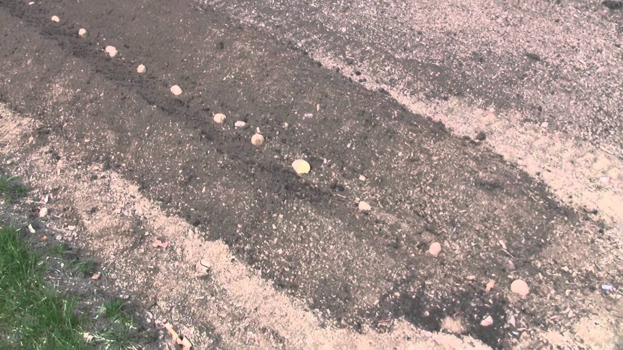 LifeinVT Potato planting Middle buster King Kutter Tiller John Deere ...