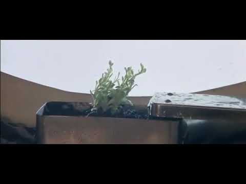 SOLARIS END SCENE - YouTube