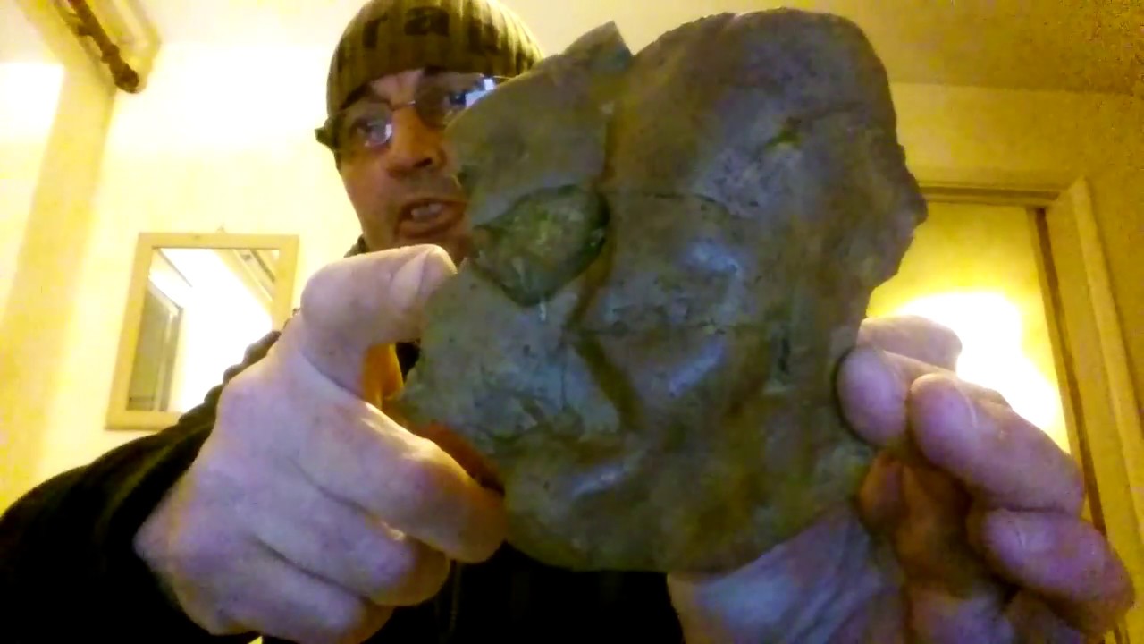 Very Strange Mud Fossil Creature Plus Ultra Strange Rocks... - YouTube